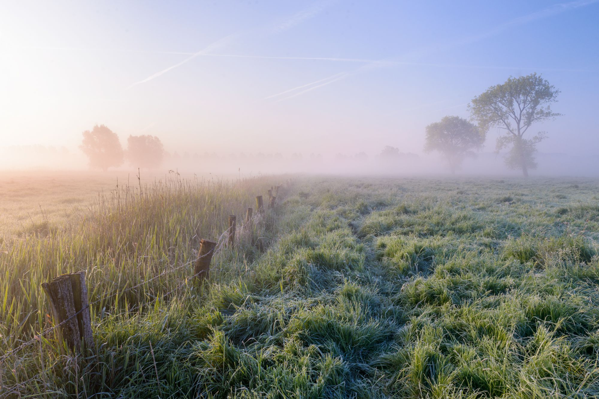 Basics of Nature Photography Workshop - Drupal