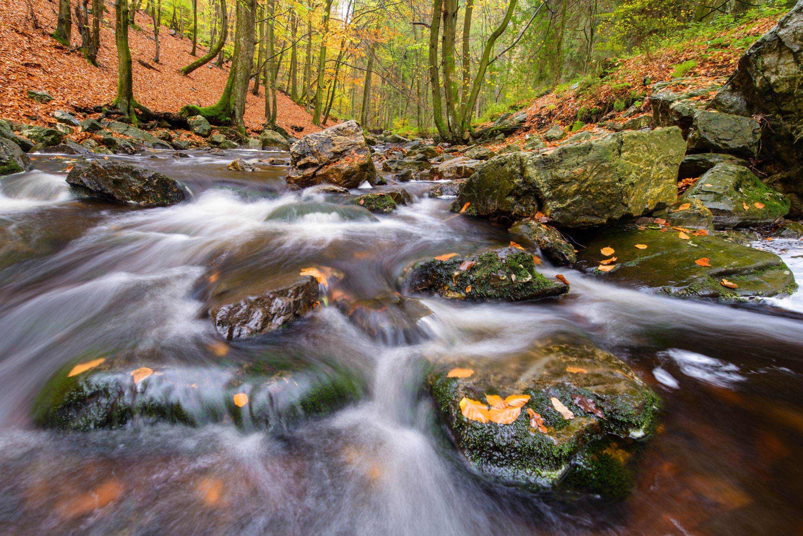 Beautiful Belgium | Bart Heirweg
